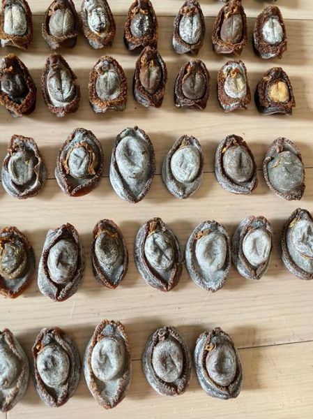 鲍鱼怎么晒干_鲍鱼晒干要多久-第1张图片-山城妙识 鲍鱼怎么晒干_鲍鱼晒干要多久-第1张图片-山城妙识