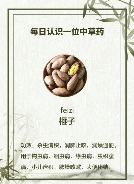 香榧子一天吃几个_香榧子吃多了会怎样-第1张图片-山城妙识 香榧子一天吃几个_香榧子吃多了会怎样-第1张图片-山城妙识