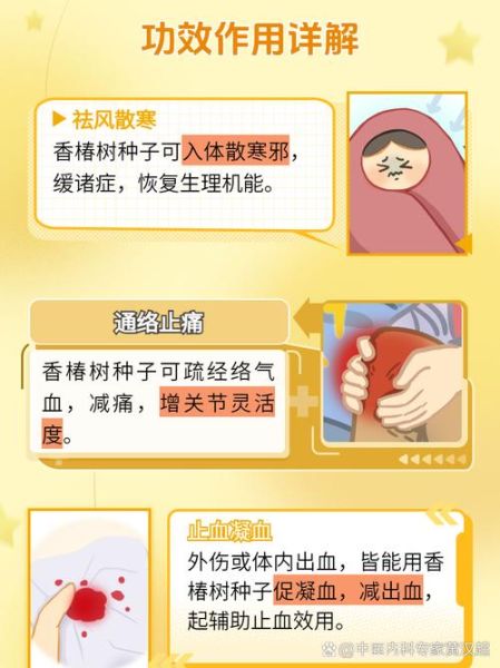 香椿树种子有什么功效_香椿树种子怎么吃-第1张图片-山城妙识