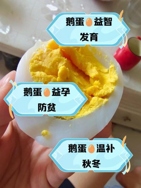 鹅蛋怎么吃法最好_鹅蛋营养价值高吗-第1张图片-山城妙识