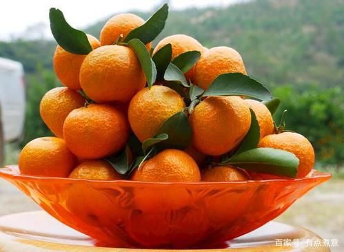 龙抬头吃什么水果_二月二最旺运水果推荐-第3张图片-山城妙识