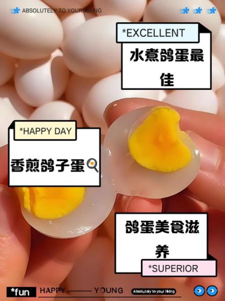 鸽子蛋怎么吃最有营养_孕妇鸽子蛋的正确吃法-第1张图片-山城妙识