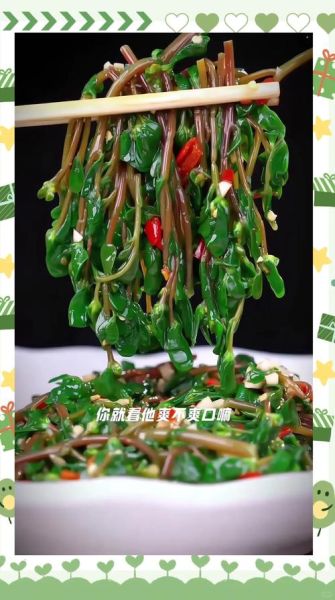 马苋菜怎么做好吃_马苋菜的家常做法大全-第1张图片-山城妙识