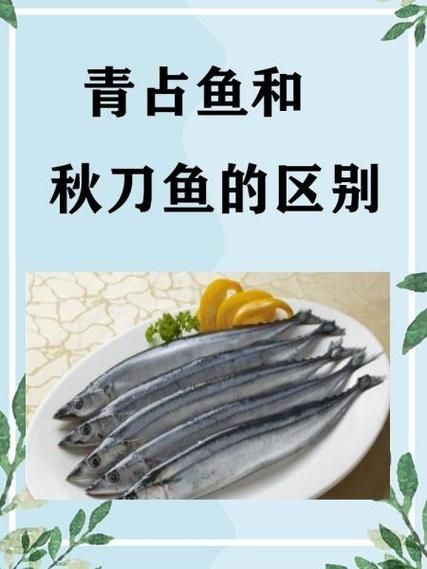 青占鱼怎么做好吃_青占鱼的营养价值-第3张图片-山城妙识