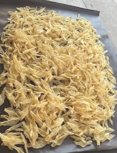 鱼胶哪个牌子好_鱼胶价格一般多少钱-第1张图片-山城妙识