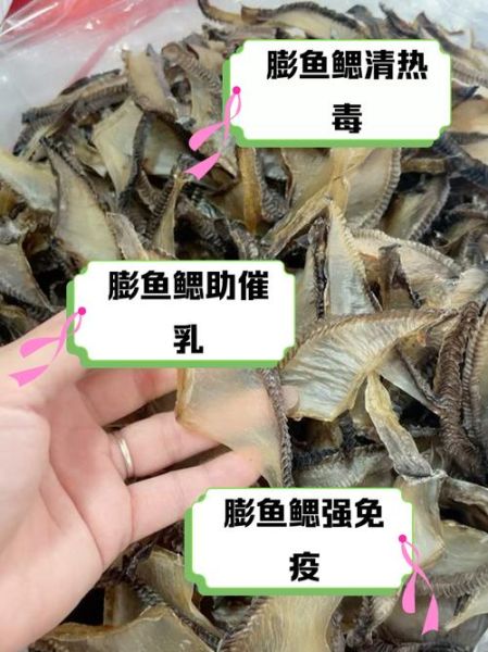 膨鱼鳃的功效与作用_膨鱼鳃怎么吃效果最好-第1张图片-山城妙识