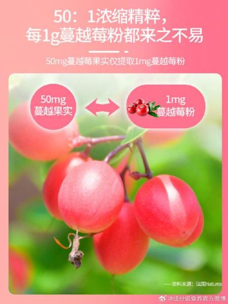 蔓越莓粉有什么作用_蔓越莓粉适合什么人吃-第1张图片-山城妙识 蔓越莓粉有什么作用_蔓越莓粉适合什么人吃-第1张图片-山城妙识