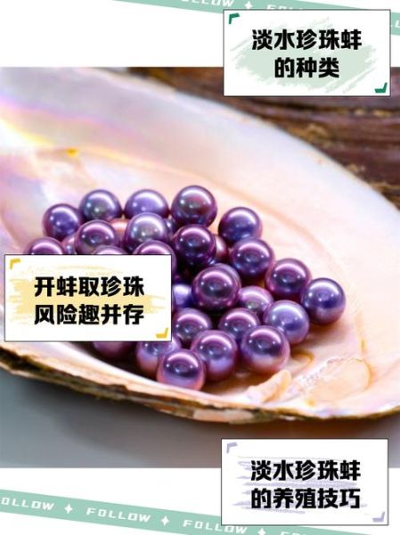 珍珠蚌要养几年出珍珠_珍珠蚌养殖周期多久-第3张图片-山城妙识 珍珠蚌要养几年出珍珠_珍珠蚌养殖周期多久-第3张图片-山城妙识