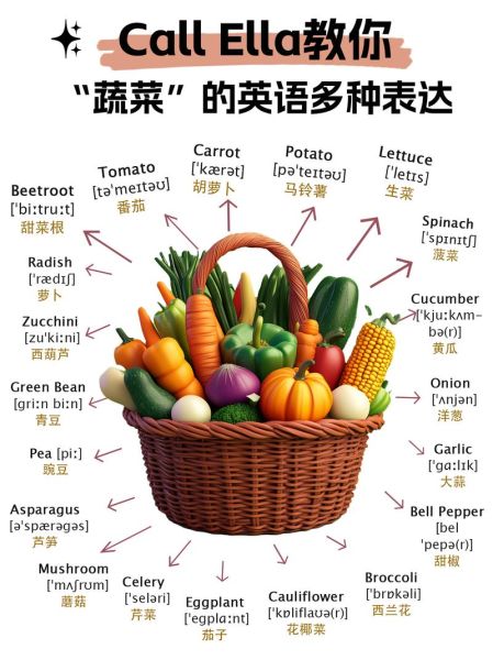 蔬菜的英文怎么写_vegetables复数形式怎么用-第2张图片-山城妙识