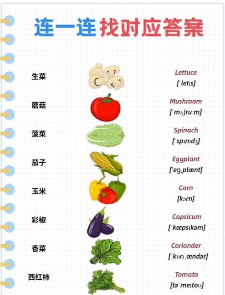 蔬菜的英文怎么写_vegetables复数形式怎么用-第1张图片-山城妙识