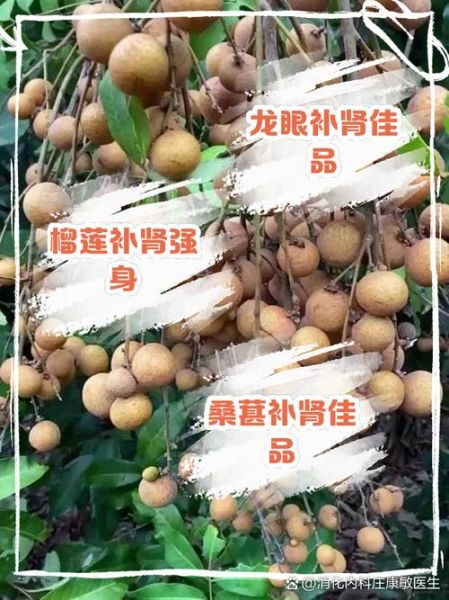 补肾的水果有哪些_吃什么水果补肾最快-第3张图片-山城妙识 补肾的水果有哪些_吃什么水果补肾最快-第3张图片-山城妙识