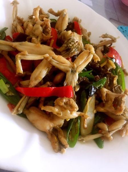 红烧田鸡怎么做好吃_红烧田鸡家常做法步骤-第2张图片-山城妙识