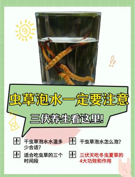 虫草花不能和什么一起吃_虫草花禁忌搭配有哪些-第3张图片-山城妙识 虫草花不能和什么一起吃_虫草花禁忌搭配有哪些-第3张图片-山城妙识