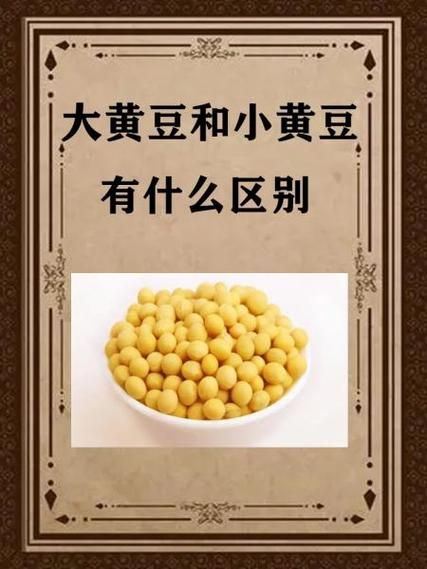 黄豆和什么搭配最有营养_黄豆不能和什么一起吃-第3张图片-山城妙识