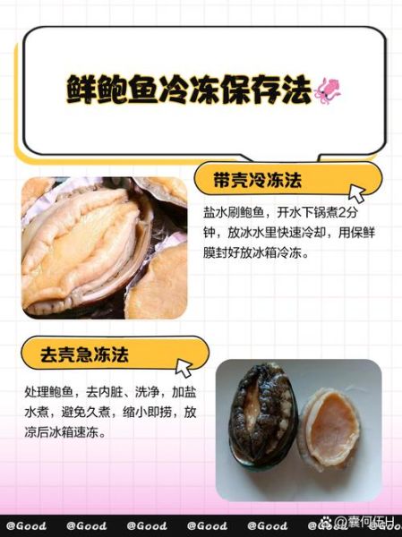 鲍鱼怎么冷冻保存_鲍鱼冷冻前要不要焯水-第1张图片-山城妙识