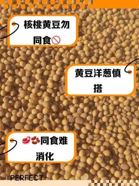 黄豆和什么搭配最有营养_黄豆不能和什么一起吃-第2张图片-山城妙识