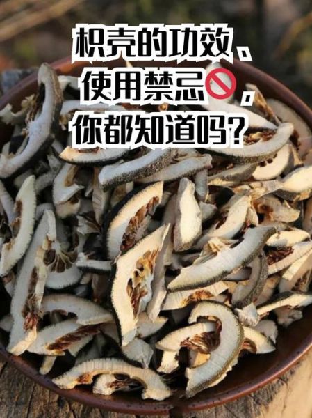 枳壳怎么读_枳壳的功效与作用-第2张图片-山城妙识