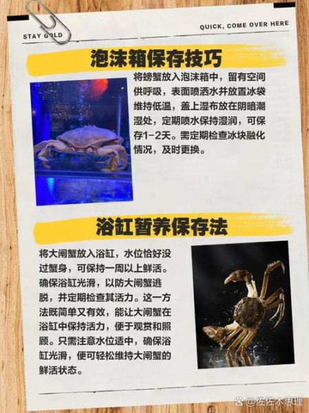 鲜活的大闸蟹怎么保存_大闸蟹能放几天不死-第1张图片-山城妙识