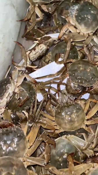 鲜活的大闸蟹怎么保存_大闸蟹能放几天不死-第2张图片-山城妙识