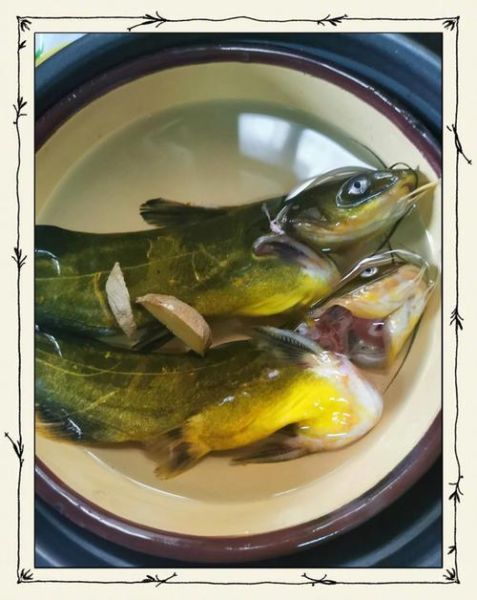 黄骨鱼面条怎么做好吃_黄骨鱼面汤做法-第1张图片-山城妙识