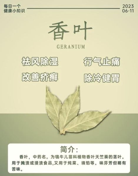 香叶在卤水中的作用_香叶和月桂叶一样吗-第1张图片-山城妙识 香叶在卤水中的作用_香叶和月桂叶一样吗-第1张图片-山城妙识