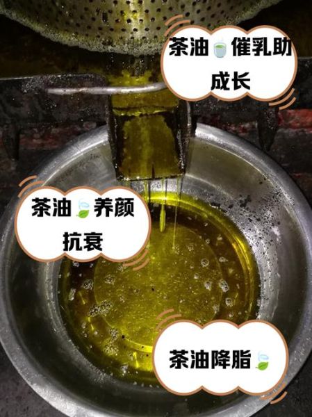 茶油的功效与作用_茶油怎么吃效果最好-第2张图片-山城妙识 茶油的功效与作用_茶油怎么吃效果最好-第2张图片-山城妙识