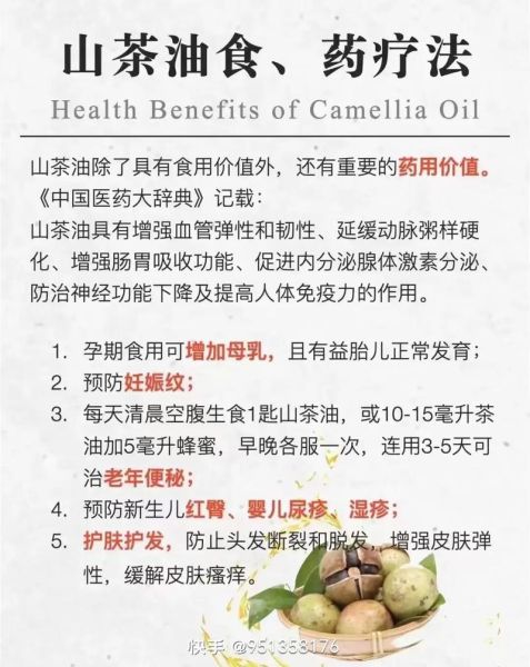 茶油的功效与作用_茶油怎么吃效果最好-第1张图片-山城妙识 茶油的功效与作用_茶油怎么吃效果最好-第1张图片-山城妙识