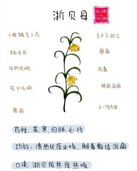 风热咳嗽吃什么好得快_风热止咳最快的偏方-第3张图片-山城妙识 风热咳嗽吃什么好得快_风热止咳最快的偏方-第3张图片-山城妙识