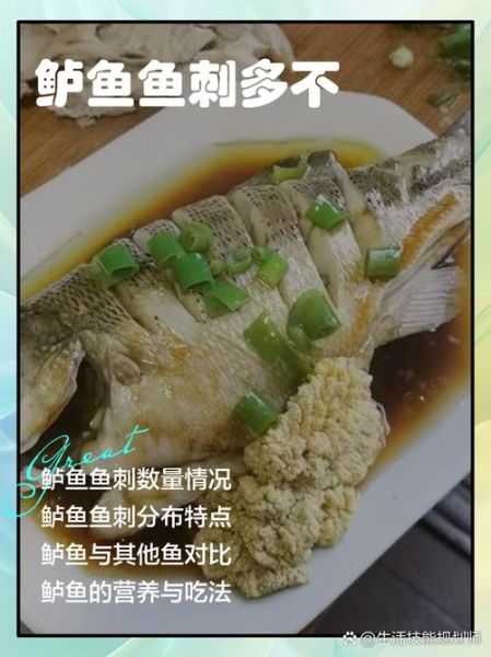 鲈鱼刺多吗_鲈鱼适合宝宝吃吗-第1张图片-山城妙识 鲈鱼刺多吗_鲈鱼适合宝宝吃吗-第1张图片-山城妙识