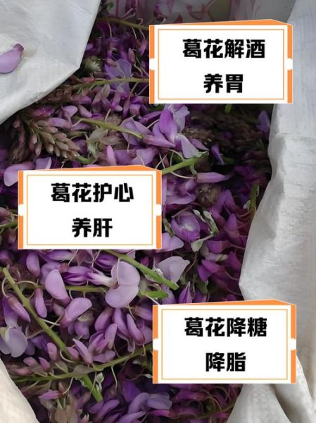 葛藤花有什么功效_葛藤花怎么吃效果最好-第2张图片-山城妙识