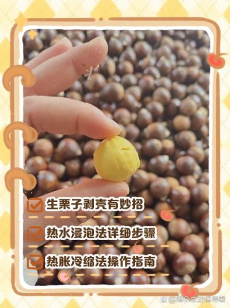 生栗子怎么剥壳快_生栗子去壳最快方法-第1张图片-山城妙识