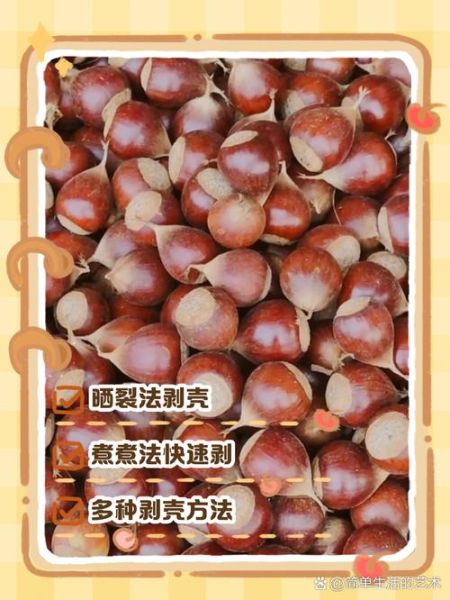 生栗子怎么剥壳快_生栗子去壳最快方法-第3张图片-山城妙识