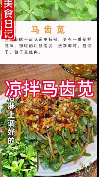 马苋菜怎么做好吃_马苋菜的功效与作用-第1张图片-山城妙识