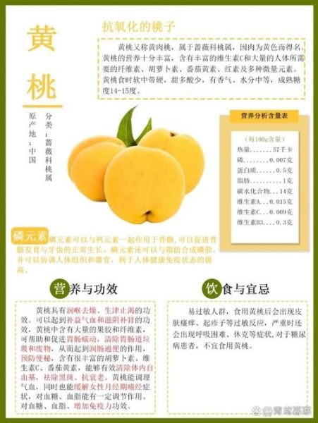 黄桃的营养价值有哪些_黄桃的功效与作用适合什么人吃-第2张图片-山城妙识