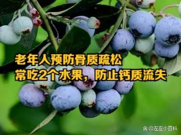 骨质疏松最怕三种水果_有哪些-第1张图片-山城妙识 骨质疏松最怕三种水果_有哪些-第1张图片-山城妙识