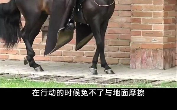 马蹄铁会疼吗_马疼吗-第2张图片-山城妙识