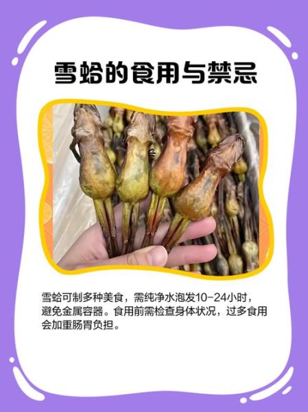 雪蛤是什么动物的部位_雪蛤是蛤蟆的哪个部位-第3张图片-山城妙识 雪蛤是什么动物的部位_雪蛤是蛤蟆的哪个部位-第3张图片-山城妙识