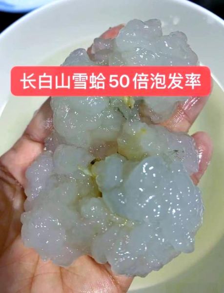 雪蛤是什么动物的部位_雪蛤是蛤蟆的哪个部位-第1张图片-山城妙识 雪蛤是什么动物的部位_雪蛤是蛤蟆的哪个部位-第1张图片-山城妙识