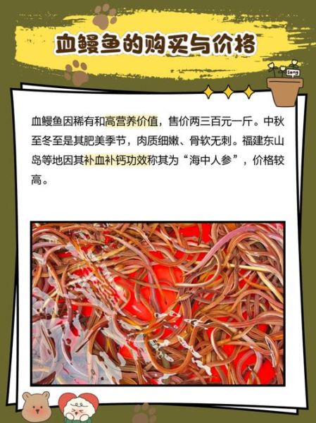 海鳗鱼有毒吗_海鳗鱼的毒素分布在哪里-第3张图片-山城妙识