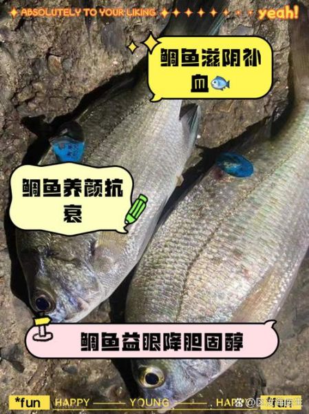 鲷鱼怎么做好吃_鲷鱼营养价值高吗-第2张图片-山城妙识