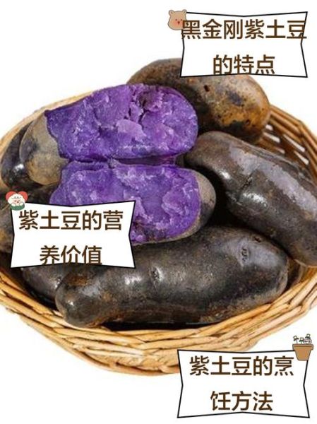 黑金刚土豆的功效与作用_黑金刚土豆营养价值高吗-第2张图片-山城妙识