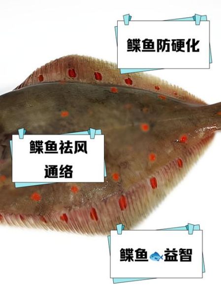 鲽鱼和深海鲽鱼的区别_深海鲽鱼是不是更营养-第2张图片-山城妙识