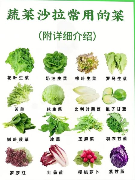 蔬菜沙拉怎么做才好吃_十种经典做法一次学会-第3张图片-山城妙识