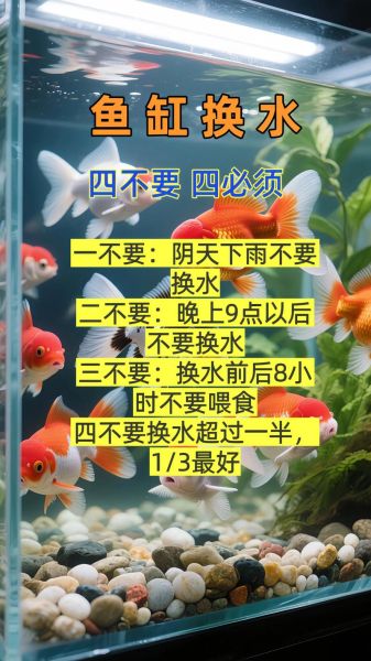 锦鲤鱼怎么养_锦鲤鱼多久换一次水-第3张图片-山城妙识 锦鲤鱼怎么养_锦鲤鱼多久换一次水-第3张图片-山城妙识