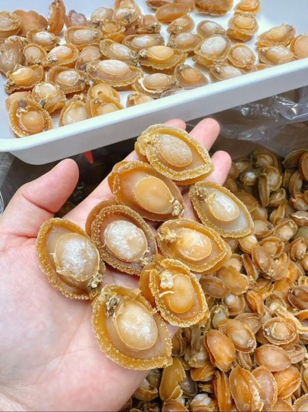 青岛鲍鱼多少钱一斤_青岛鲍鱼价格行情-第1张图片-山城妙识