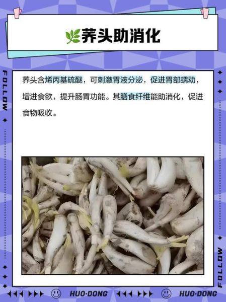 荞头功效与作用_荞头怎么吃最养生-第2张图片-山城妙识