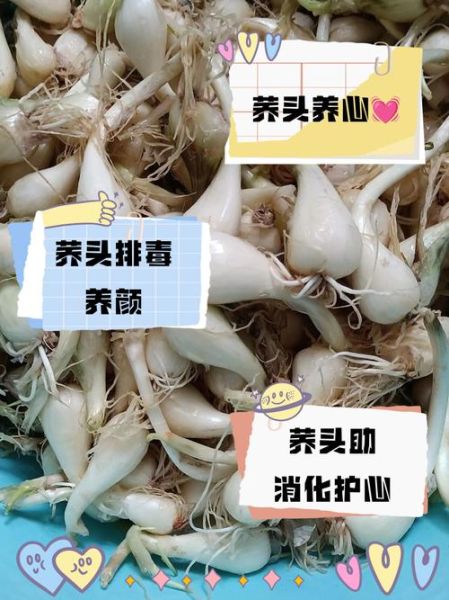 荞头功效与作用_荞头怎么吃最养生-第3张图片-山城妙识