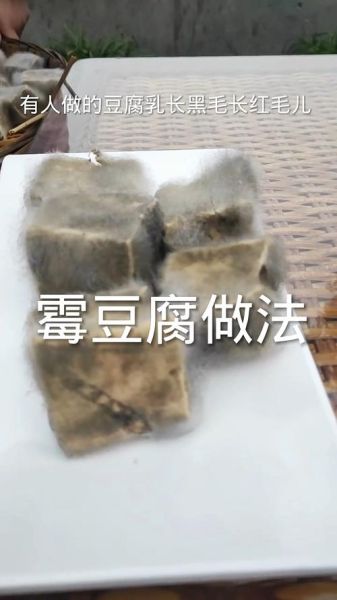 自制豆腐乳怎么做_豆腐乳发霉还能吃吗-第2张图片-山城妙识 自制豆腐乳怎么做_豆腐乳发霉还能吃吗-第2张图片-山城妙识