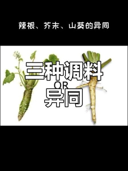 芥末是什么做的_芥末原料和辣根区别-第2张图片-山城妙识