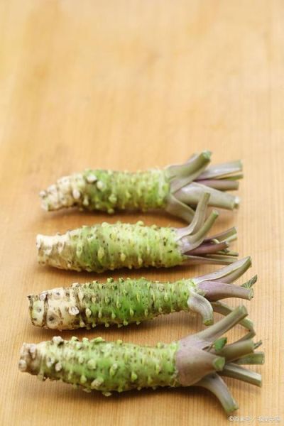 芥末是什么做的_芥末原料和辣根区别-第1张图片-山城妙识